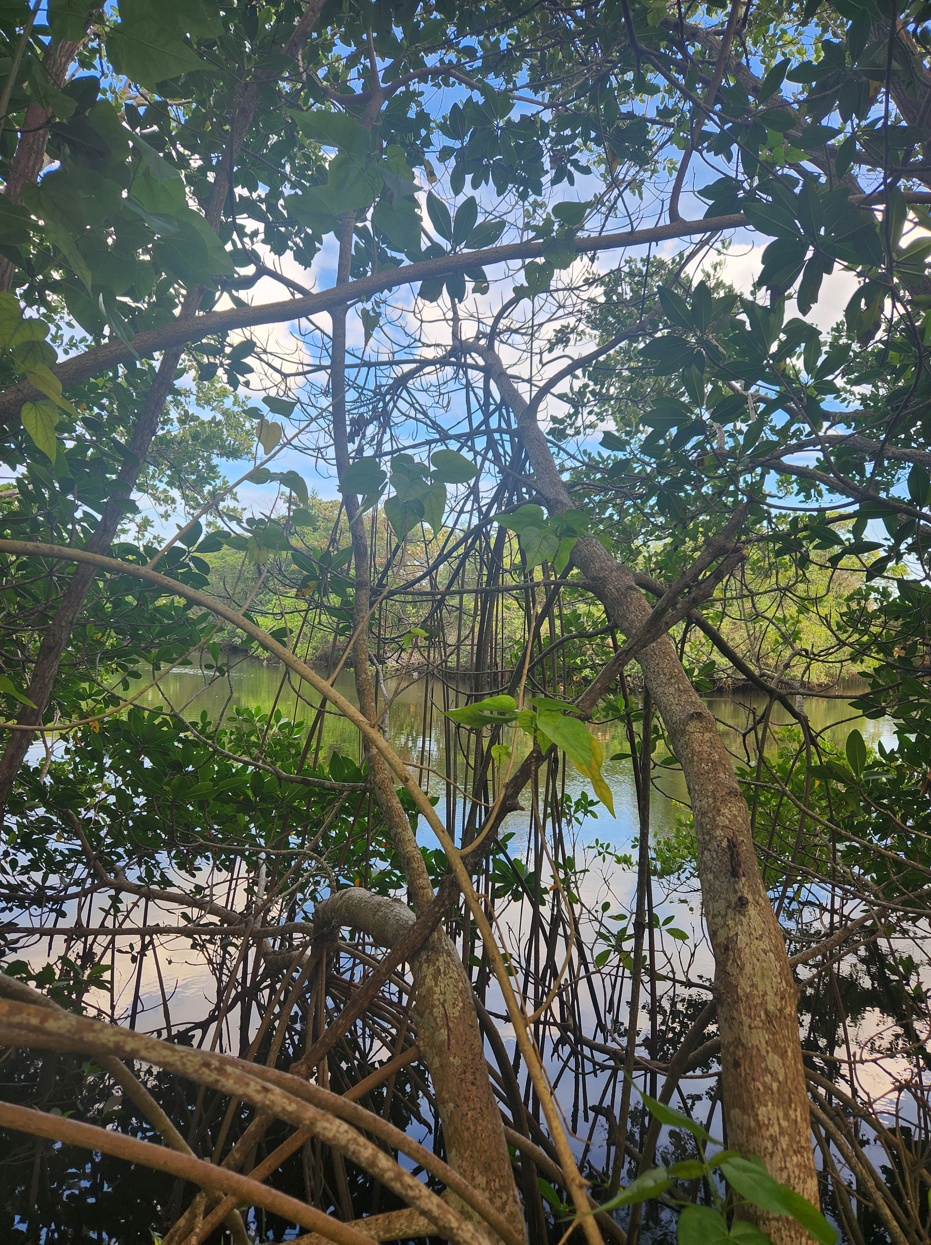 Burroughs Wellcome Fund Project: New River Biodiversity and Water Quality – Conserving Our Home ...