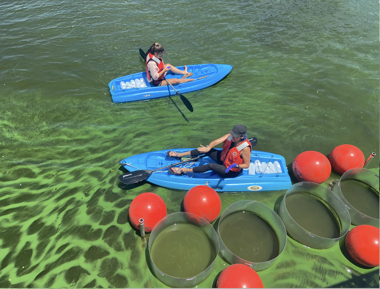 Mesocosm experiments followed by transcriptome analyses reveal active ...
