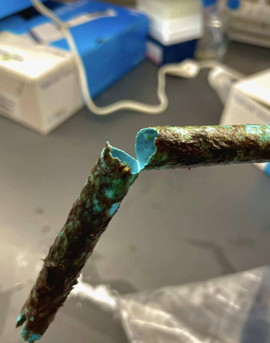 New publication has characterized the microbial degradation of ...